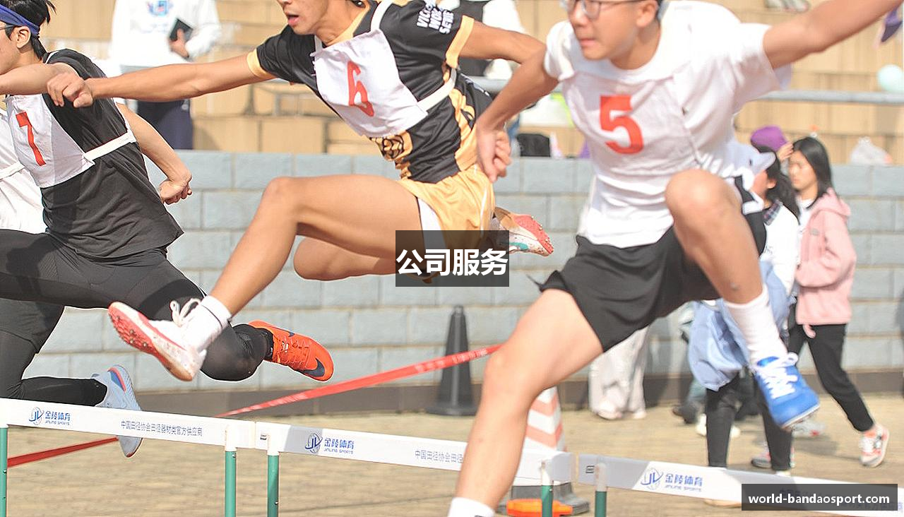 公司服务 - 半岛体育-半岛体育官方网站-Bandao Sports